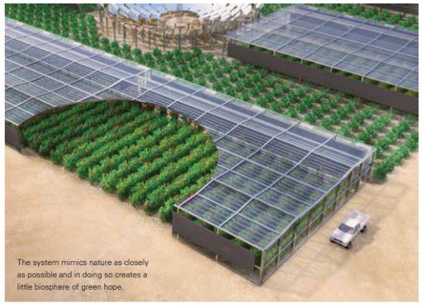 Desert Farms: Farming The Unfarmable With Saltwater