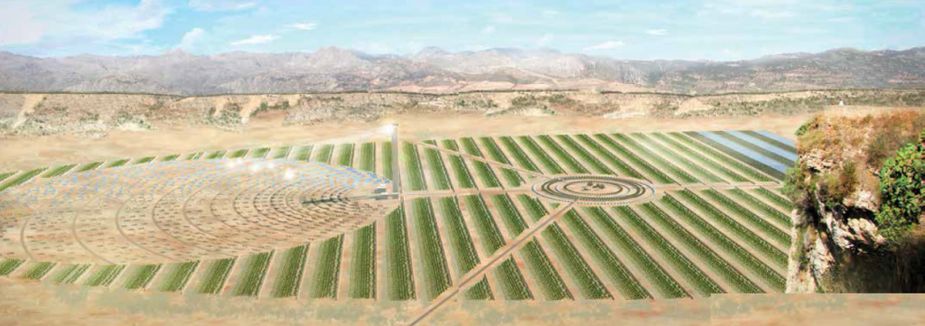 Desert Farms: Farming The Unfarmable With Saltwater