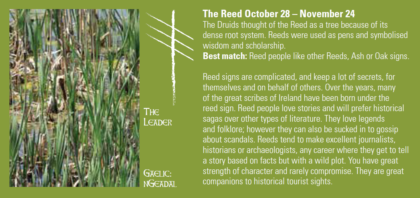 Celtic Zodiac | Celtic Astrology Signs | Old Moore's Almanac