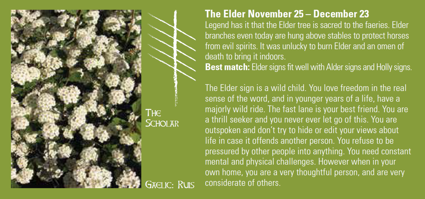 Celtic Zodiac | Celtic Astrology Signs | Old Moore's Almanac