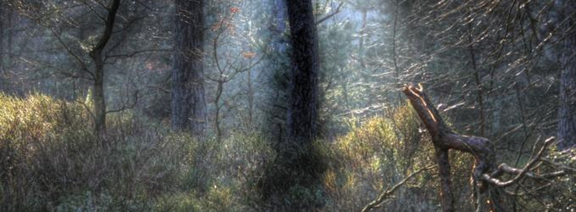 IRISH FAIRY TALESIRISH FAIRY TALES