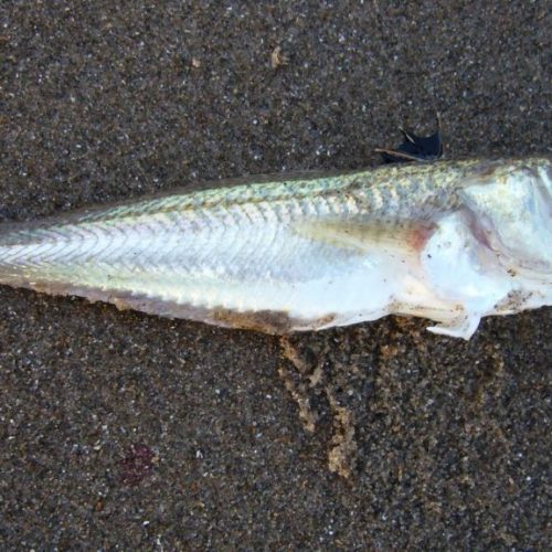 The Real Tatooine has Been FoundThe Real Tatooine has Been Found