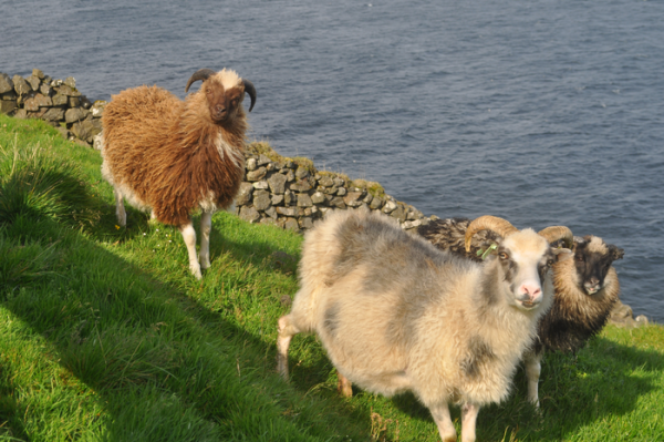 Faroe Islands: Did the Irish Settle There Before Anyone Else?